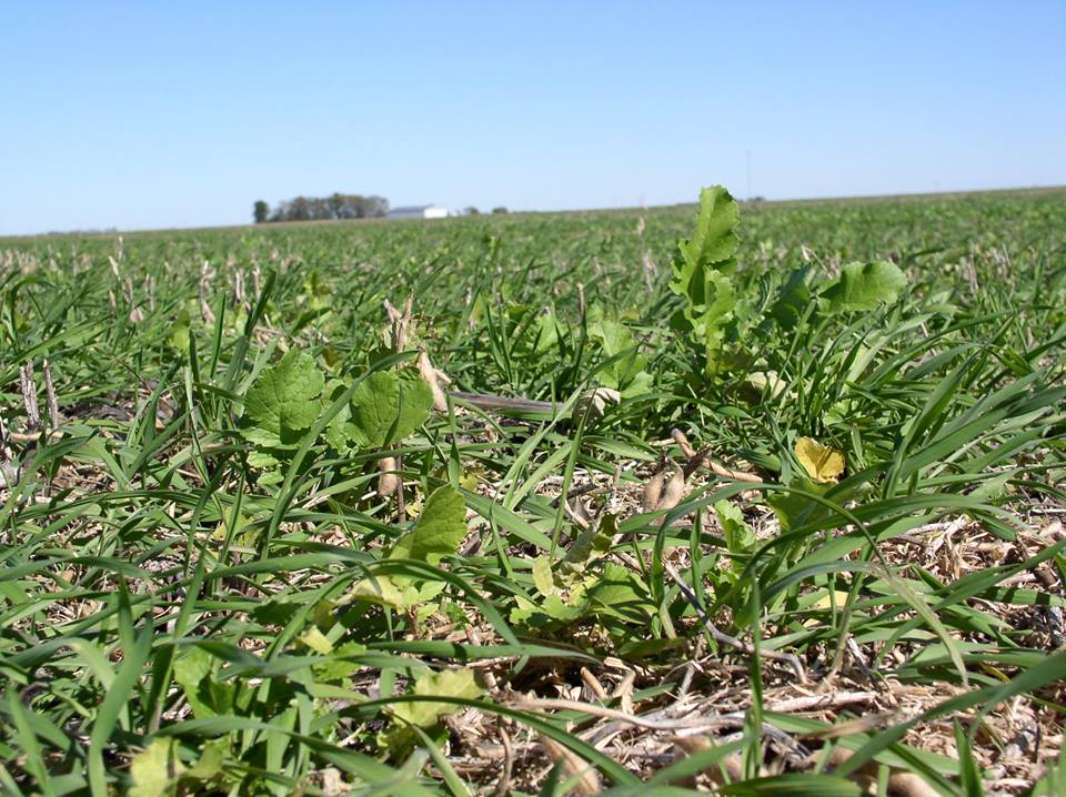 Photos | Boone River Watershed